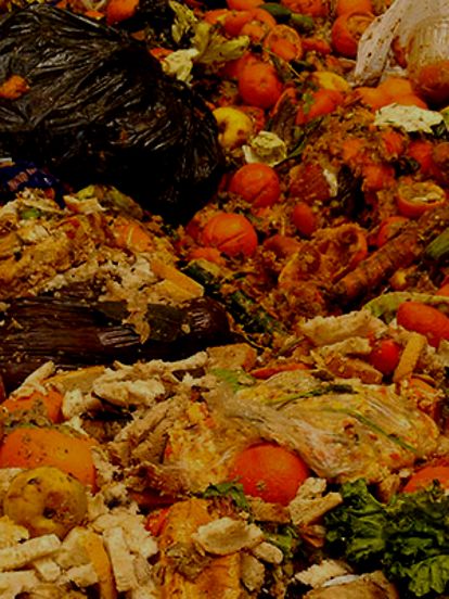 Food Waste Facts & Statistics in the UK | InSinkErator GB