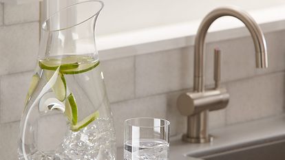 Water Filtration Systems | InSinkErator CA