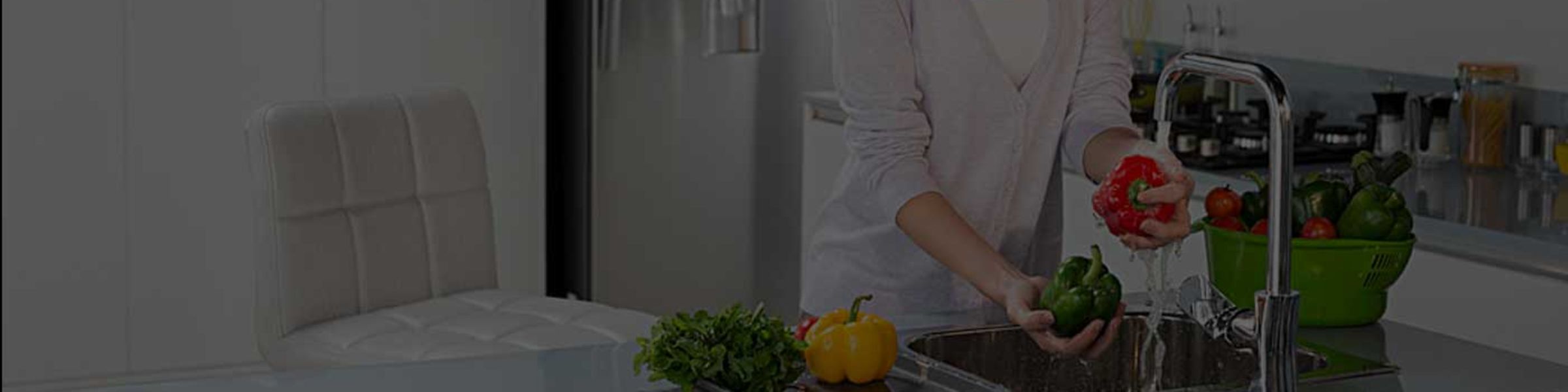 Modular Kitchen with Food Waste Disposer | InSinkErator IN