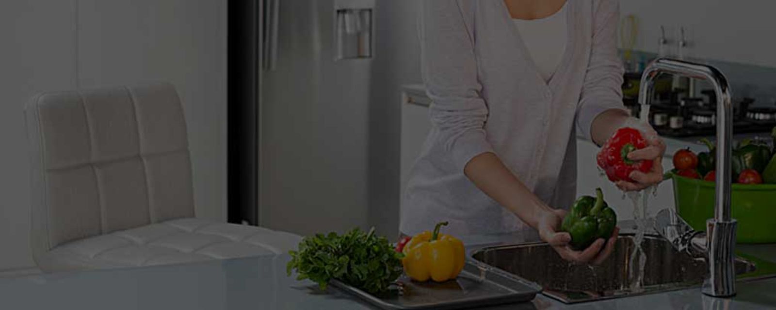 Modular Kitchen with Food Waste Disposer | InSinkErator IN