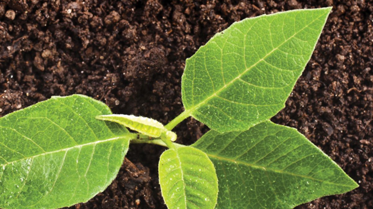 Food Waste Pulper | WasteXpress ™ System | InSinkErator US