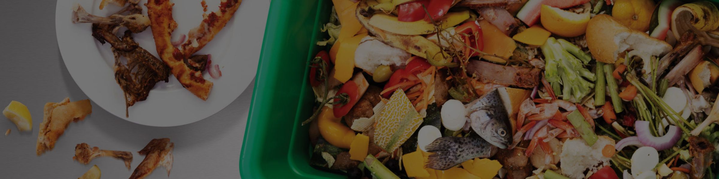 Food Waste Pulper | WasteXpress ™ System | InSinkErator US