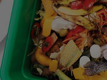 Food Waste Pulper | WasteXpress ™ System | InSinkErator US