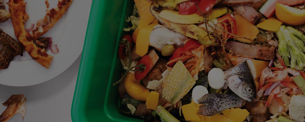 Food Waste Pulper | WasteXpress ™ System | InSinkErator US