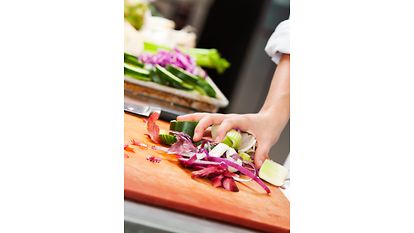 Food Waste Disposers (Commercial) | InSinkErator US