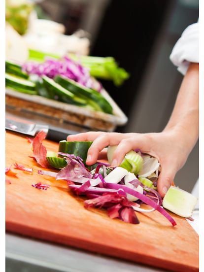 Food Waste Disposers (Commercial) | InSinkErator US