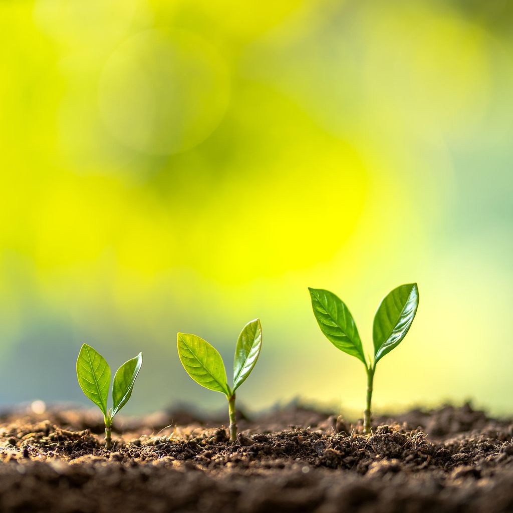 Garbage Disposal Timeline | Contribution to Food Waste Sustainability ...