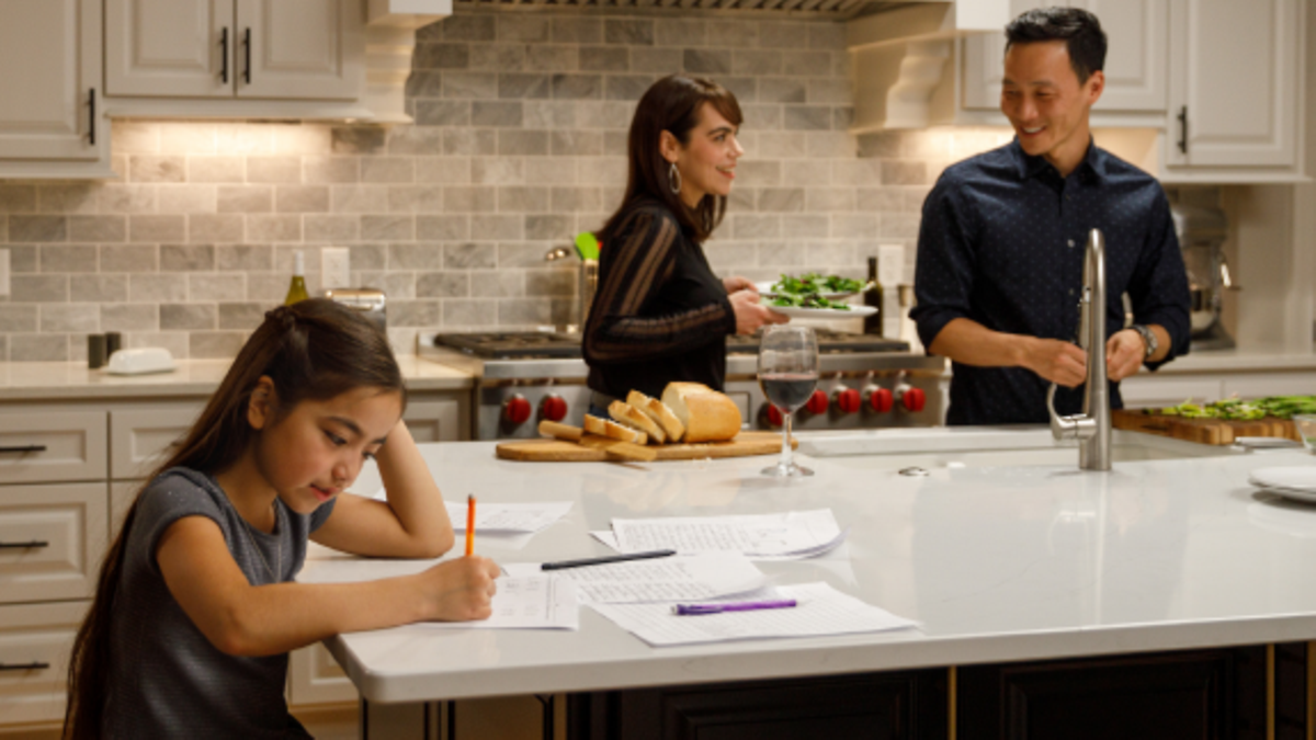 Quiet Garbage Disposals: Quiet Series | InSinkErator US