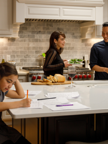 Quiet Garbage Disposals: Quiet Series | InSinkErator US