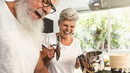 Quiet Garbage Disposals: Quiet Series | InSinkErator US