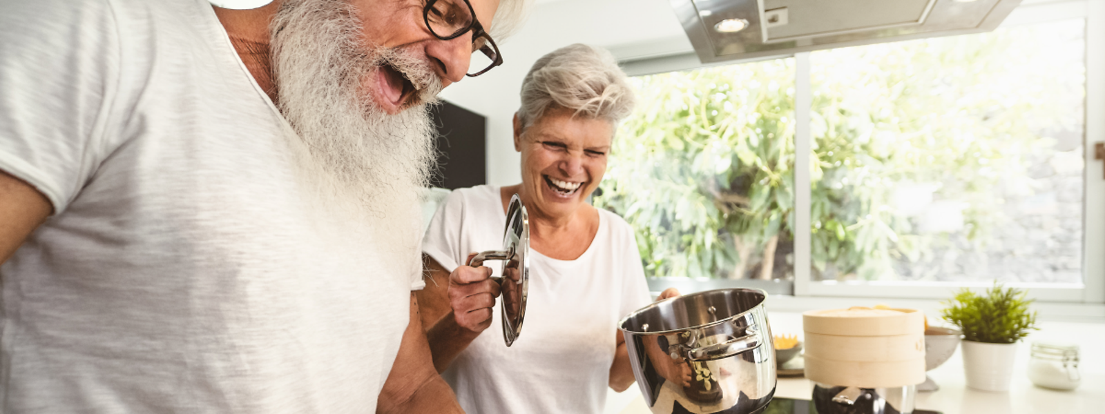 Quiet Garbage Disposals: Quiet Series | InSinkErator US